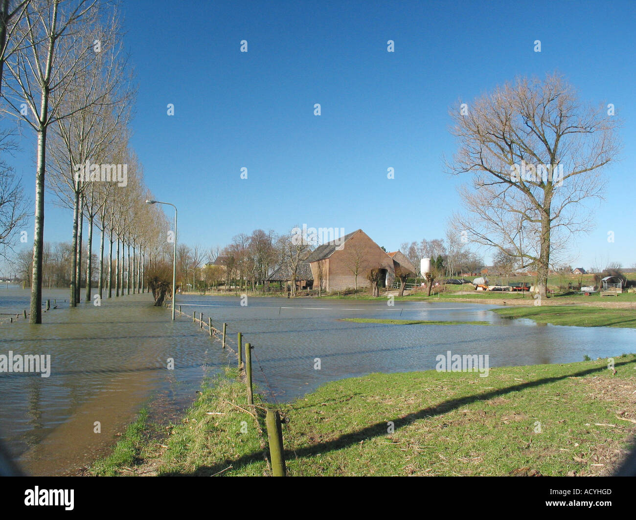 flooded tree lined road after heavy rainfall, blue skies Stock Photo ...