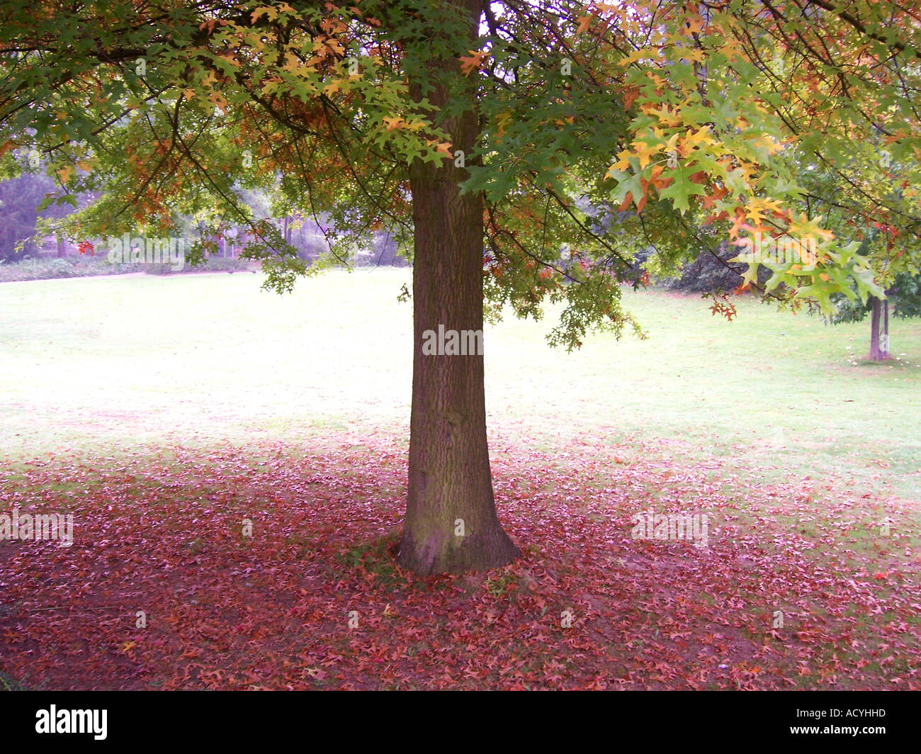 Open space beneath floor hi-res stock photography and images - Alamy