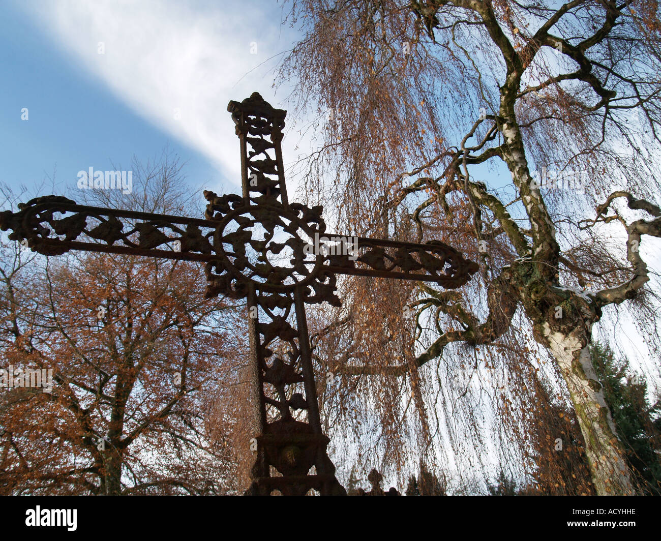 wrought iron graveyard cross with birch tree in background streaky ...