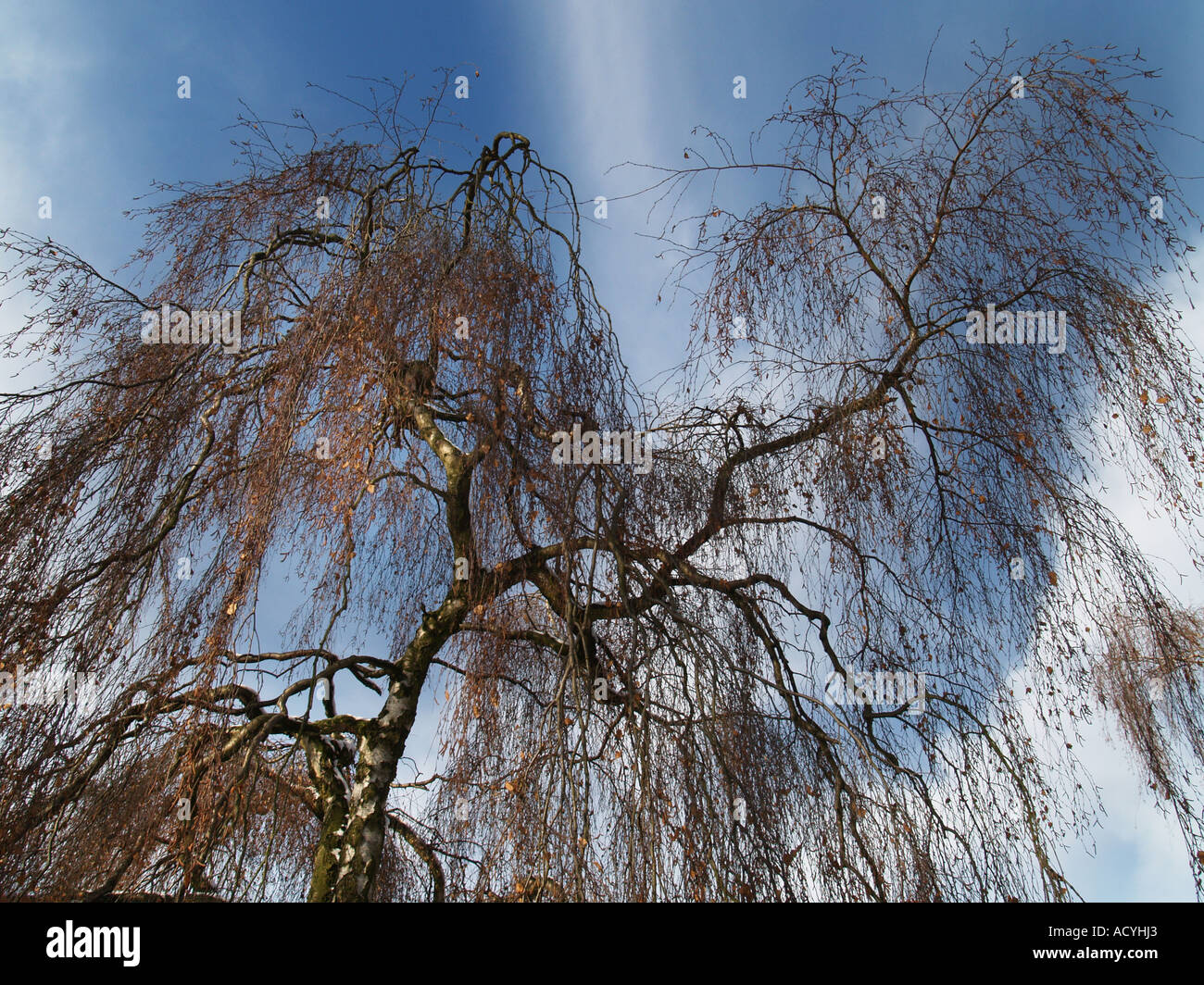 Streaky skies hi-res stock photography and images - Alamy