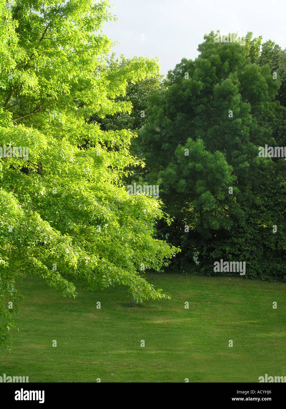 Strong contrasting light hi-res stock photography and images - Alamy