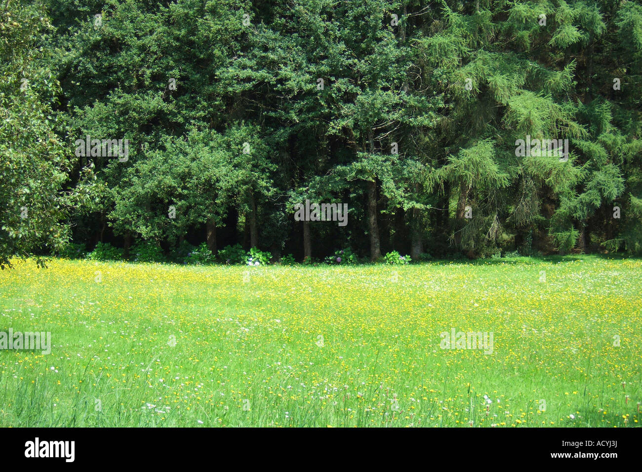 rural scene in France Stock Photo - Alamy