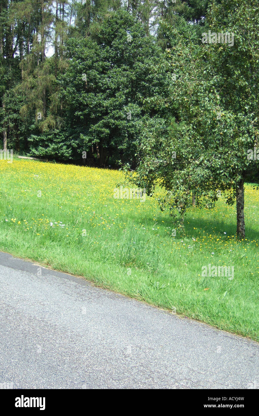 rural scene in France Stock Photo - Alamy