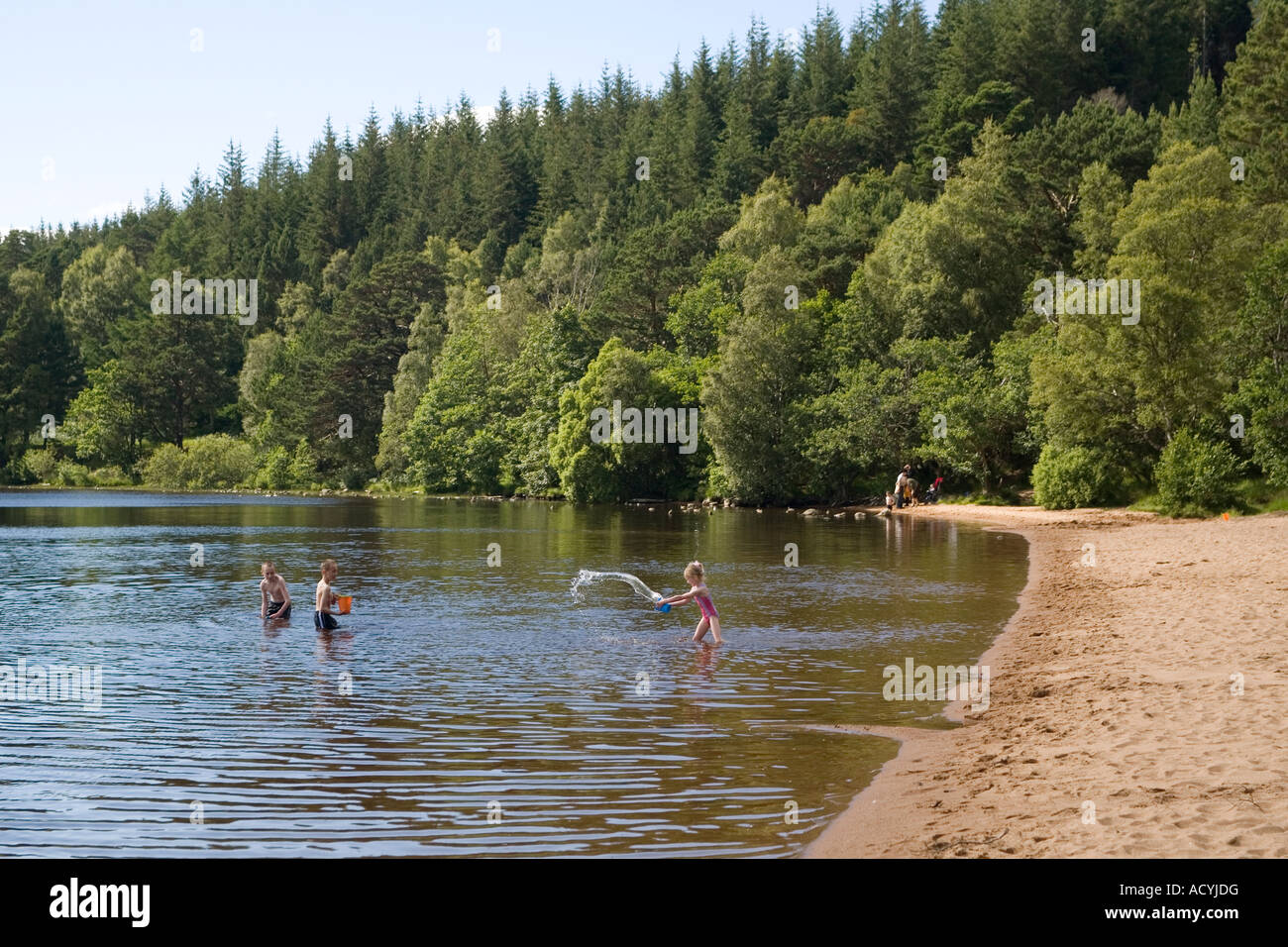 Scotland Highlands Loch Morlich beach Cairngorms Stock Photo - Alamy