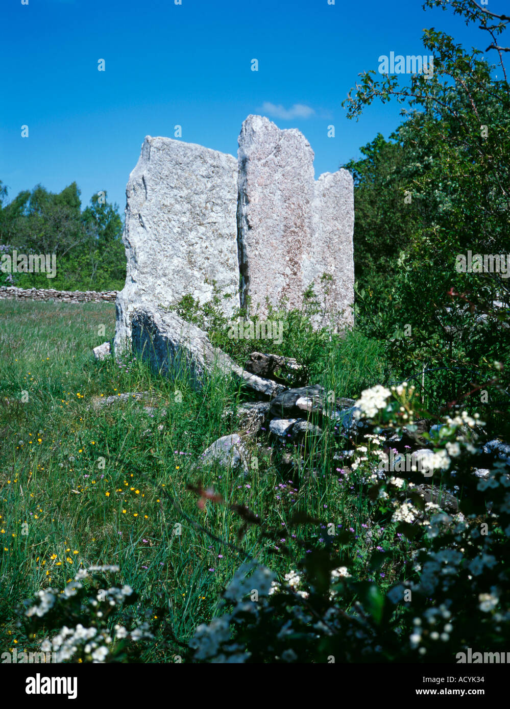 "Odin's splinters", Iron Age standing stones near Karums Alvar ...