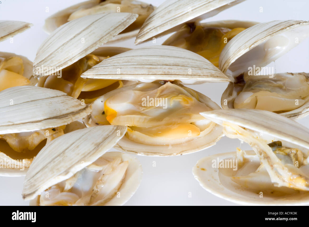 Clams hi-res stock photography and images - Alamy