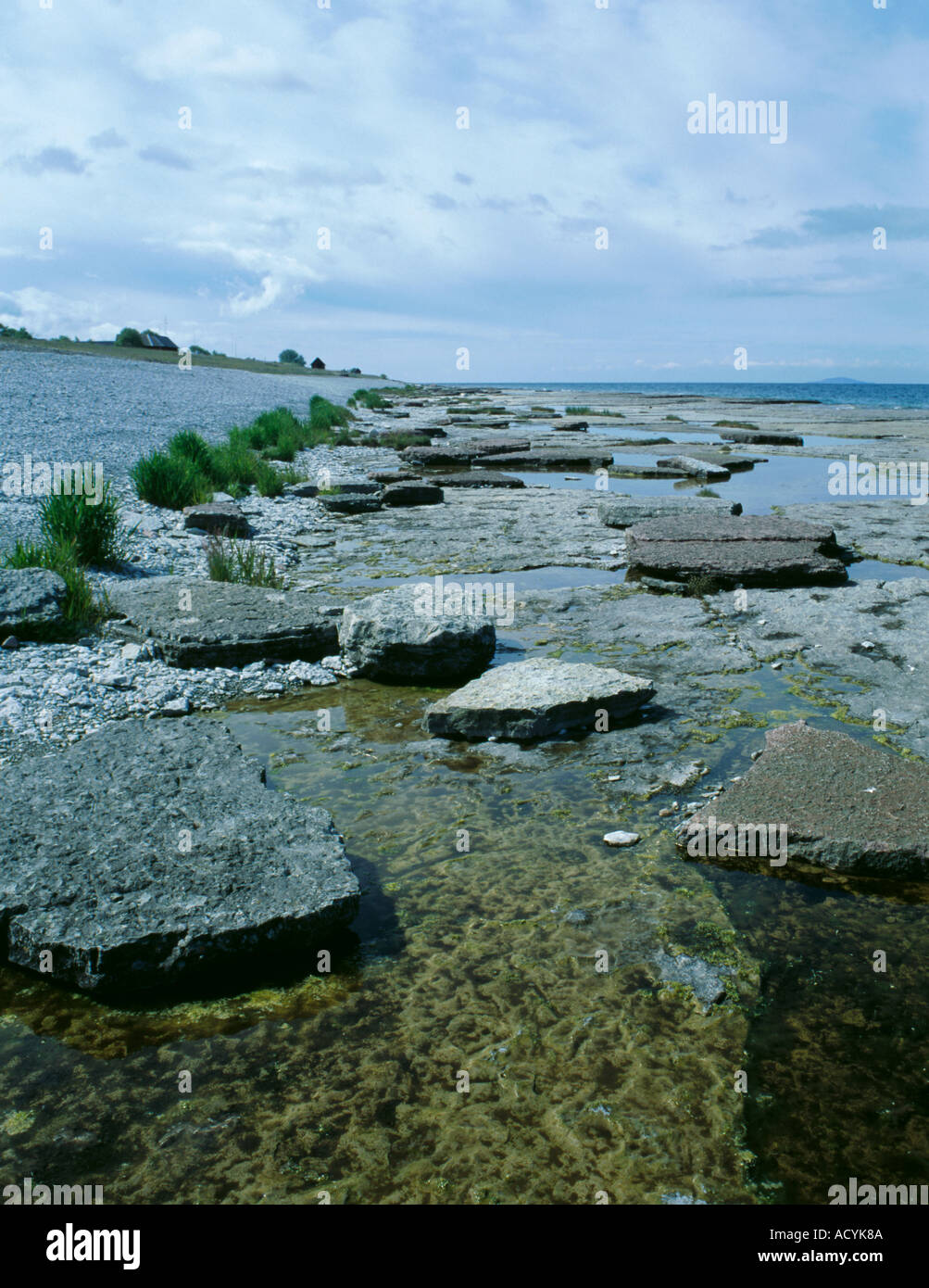 View south over fossiliferous limestone platform, "Neptune's Fields ...