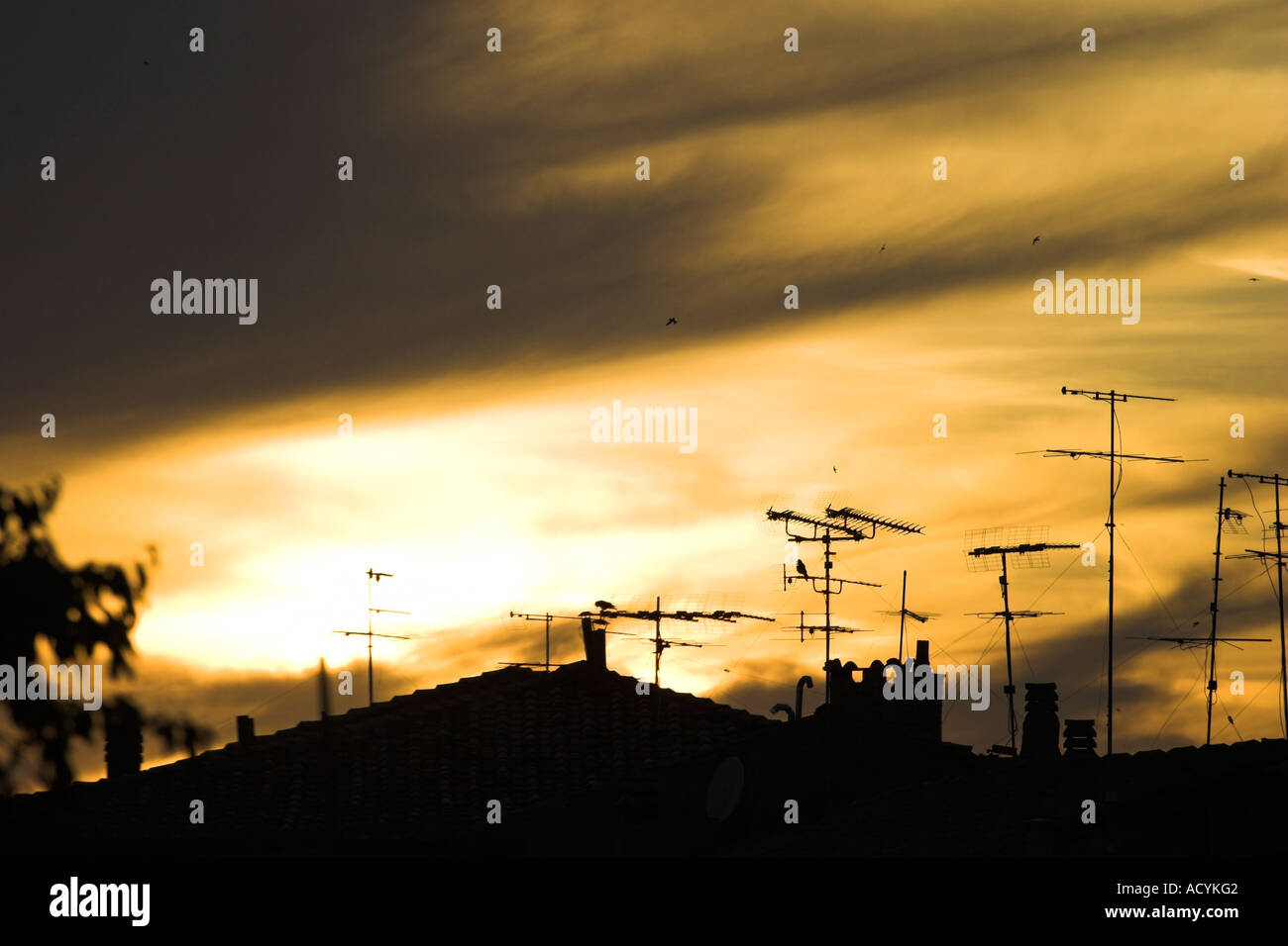 View from Volterra roff Stock Photo - Alamy