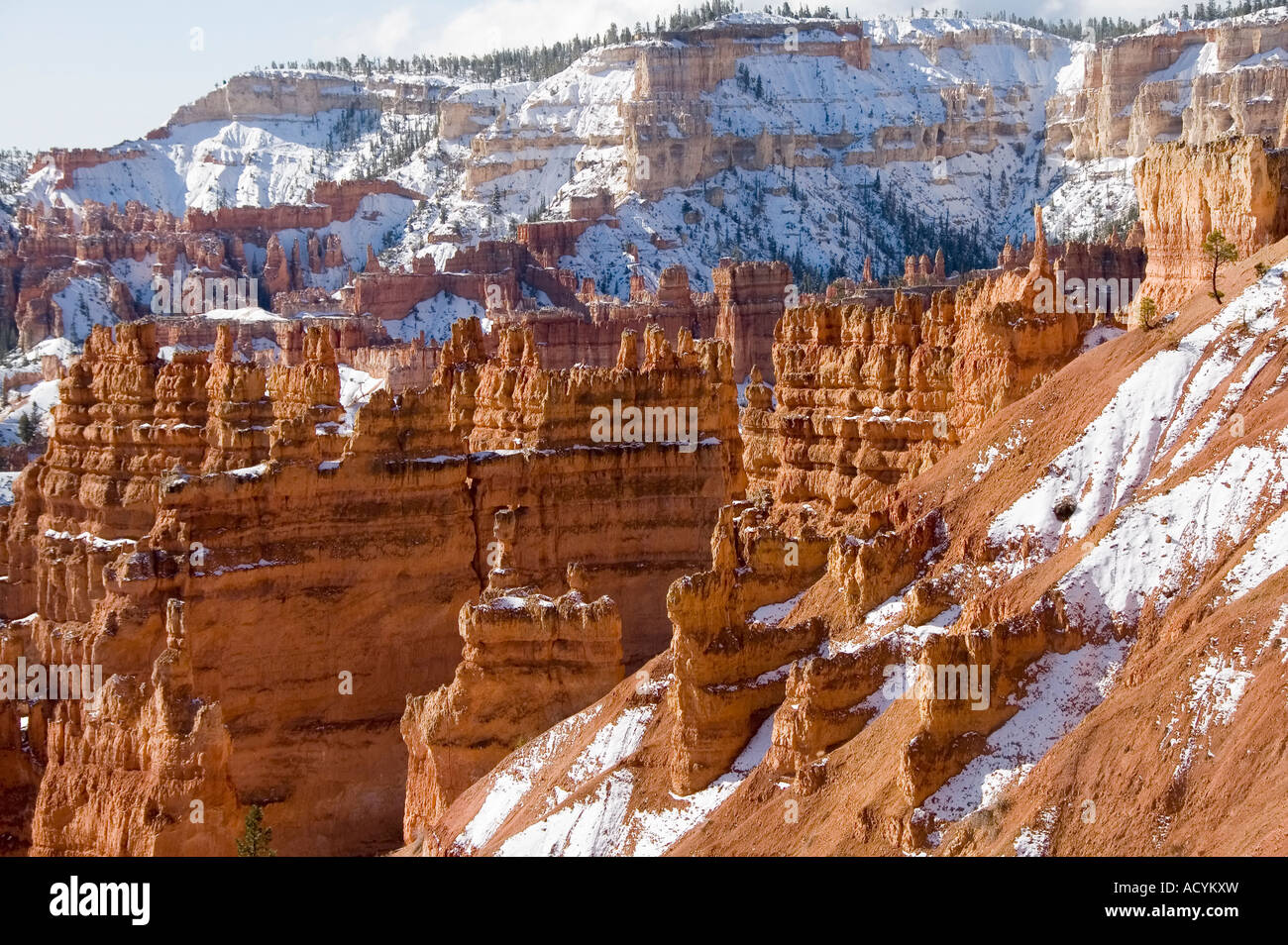 A picture illustrating some of the many of the features of Bryce Canyon ...