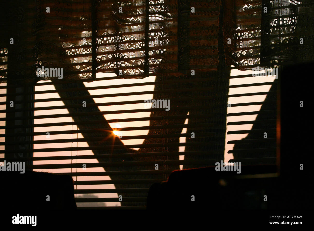 Silhouette of Tree Through Window with Shades Stock Photo - Alamy