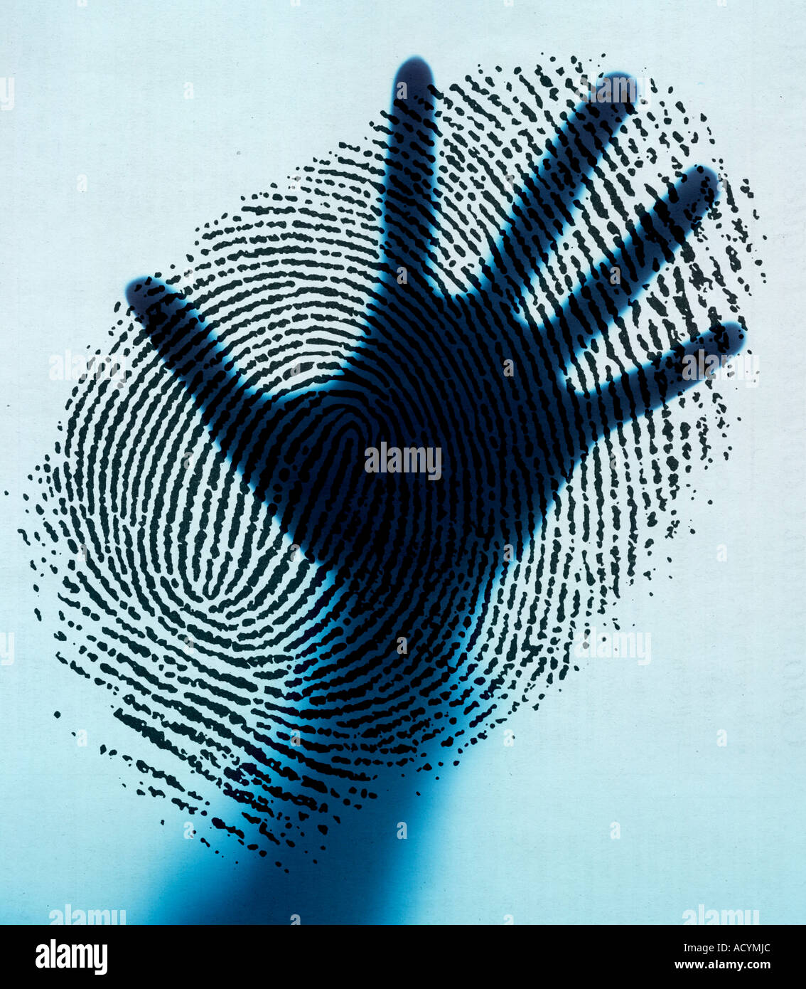 silhouette of hand with fingers spread over a large fingerprint Stock ...