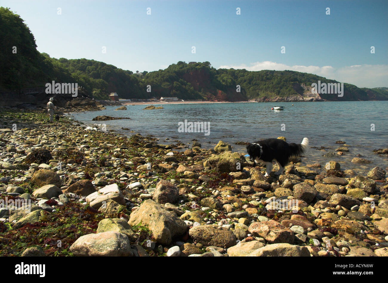 Babbacombe Beach Devon England Great Britain U K Stock Photo - Alamy