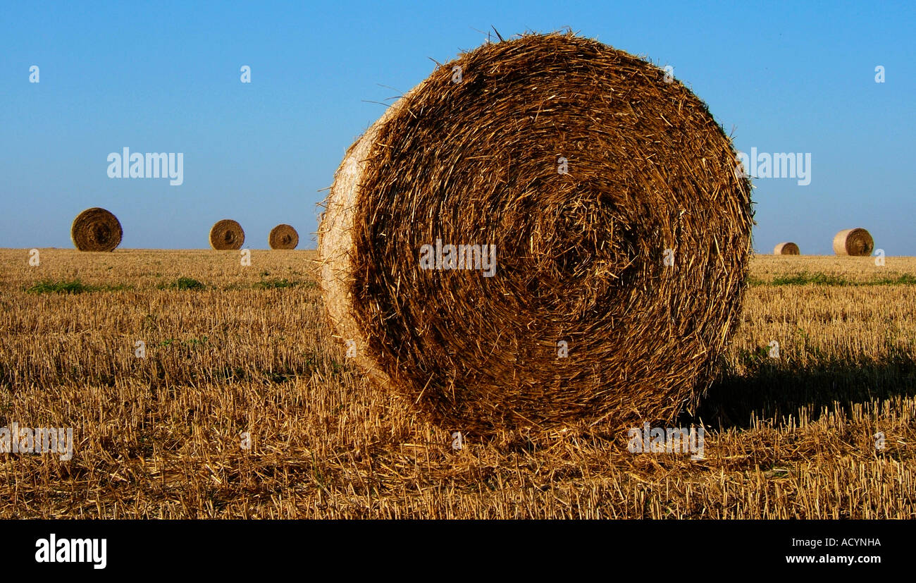 Straw cylinder hi-res stock photography and images - Alamy
