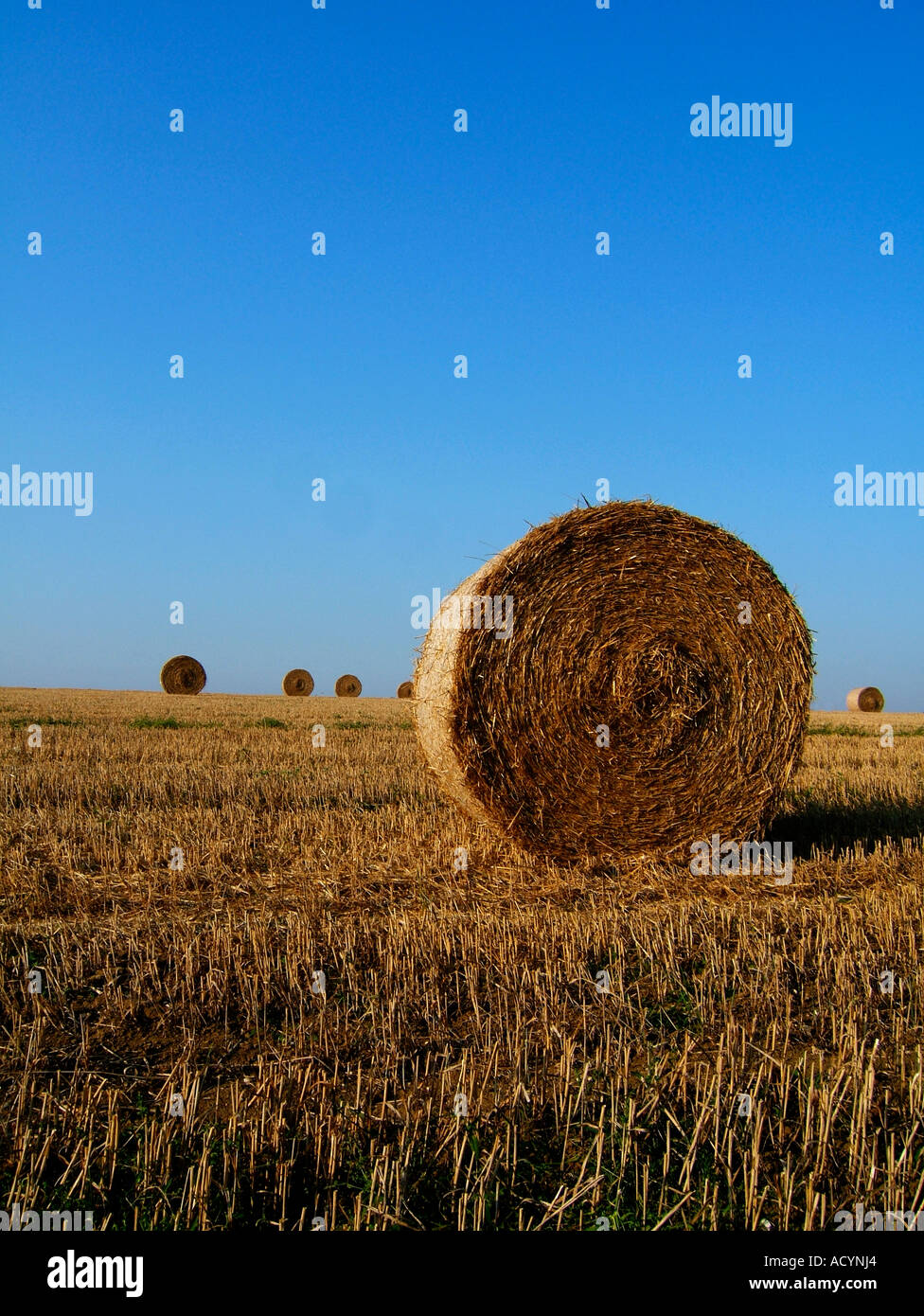 Straw cylinder hi-res stock photography and images - Alamy