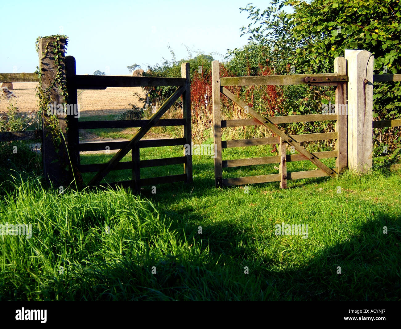 farm gate Norfolk England Stock Photo - Alamy