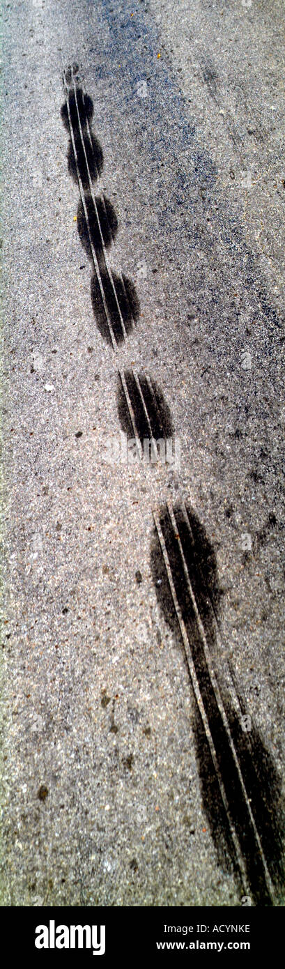 Skid marks hi-res stock photography and images - Alamy