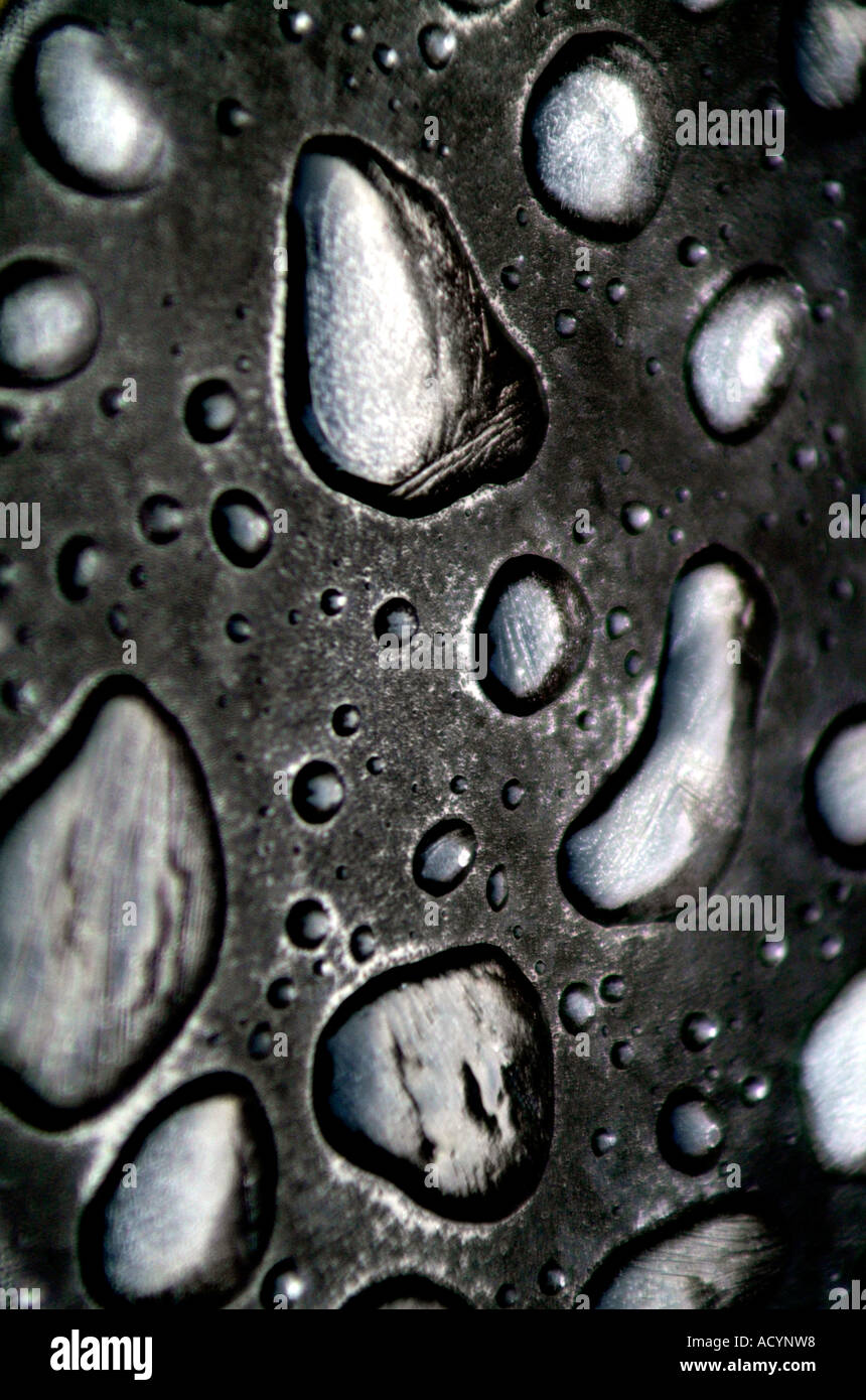 frozen water drops Stock Photo - Alamy