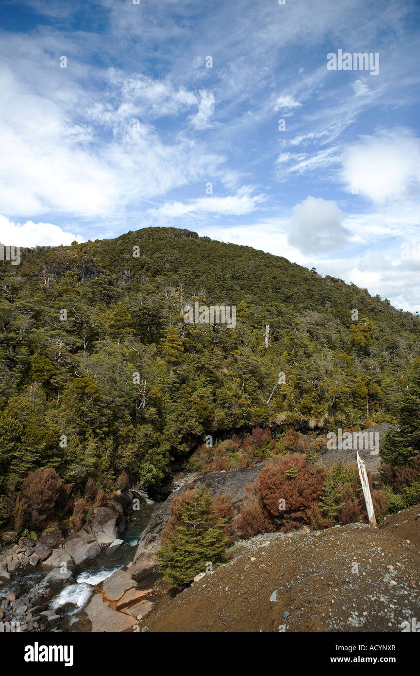 Turoa national park New Zealand. Shot from beside the road to Mount ...