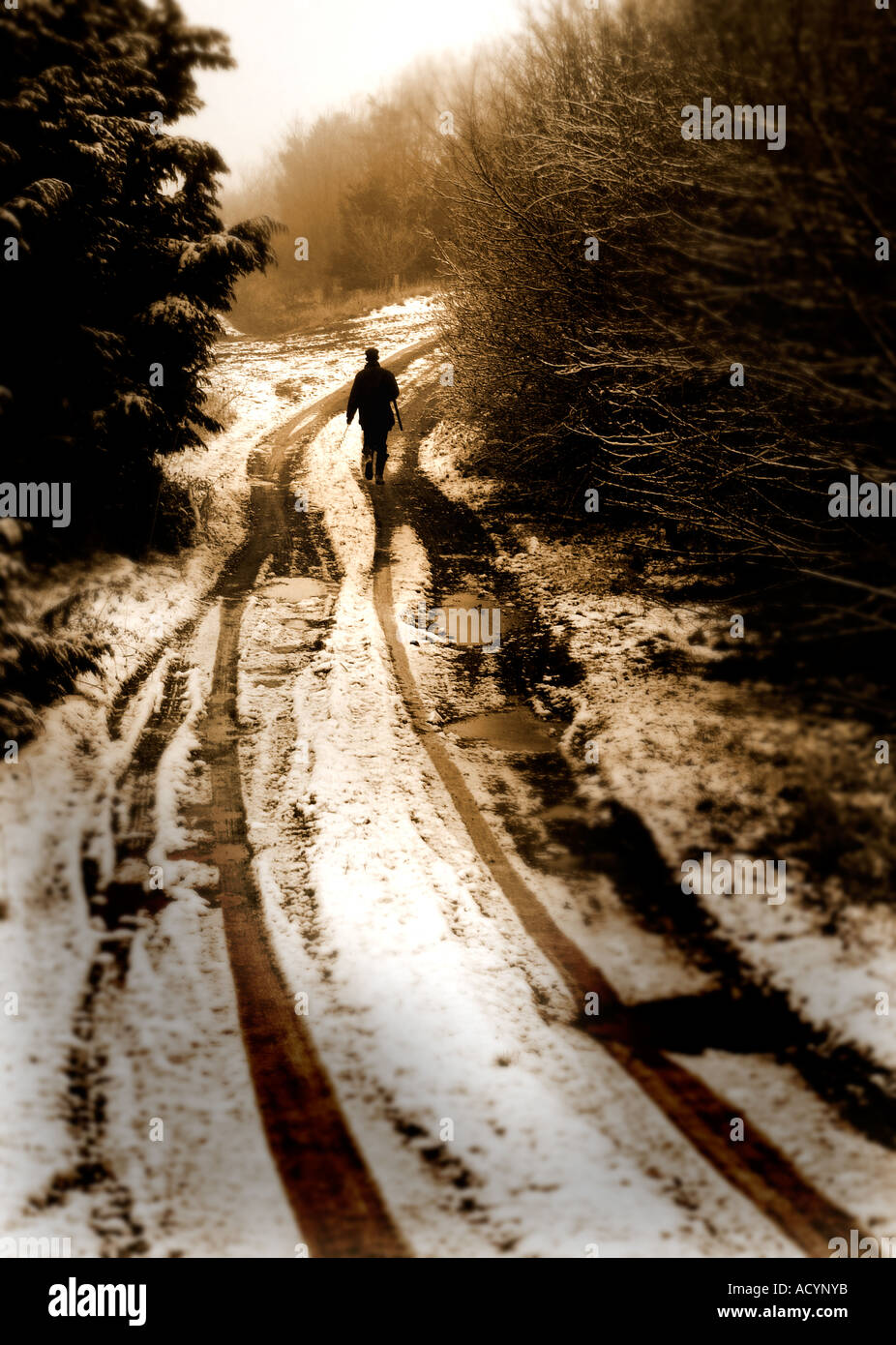Walking in country lane hi-res stock photography and images - Alamy