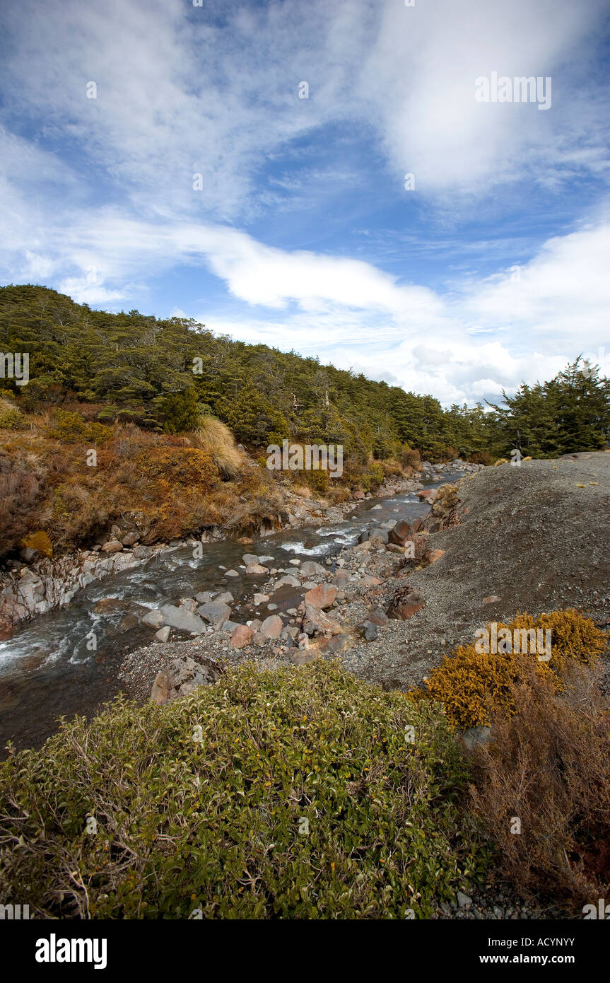 Turoa new zealand hi-res stock photography and images - Alamy