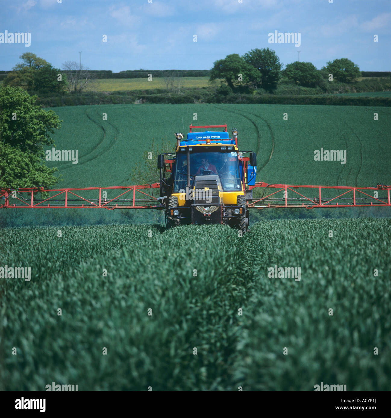 Fastrac tractor with mounted sprayer spraying a wheat crop in early ...