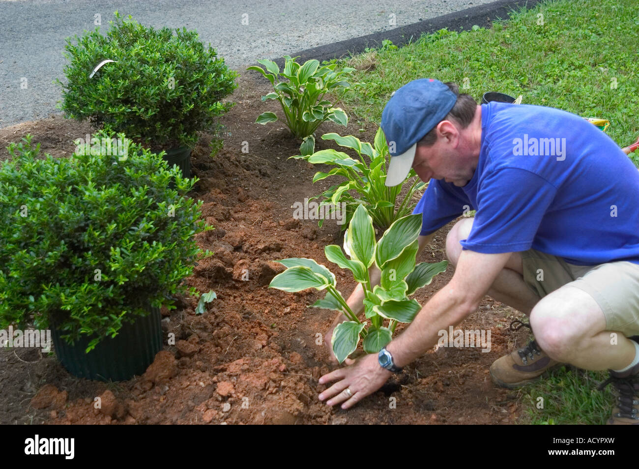 Manual labor landscaping hi-res stock photography and images - Alamy