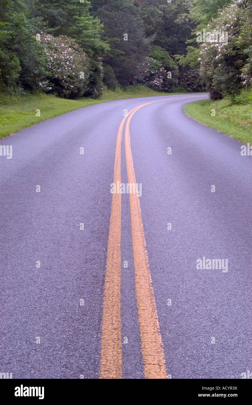 Double Yellow Line on Road Stock Photo - Alamy