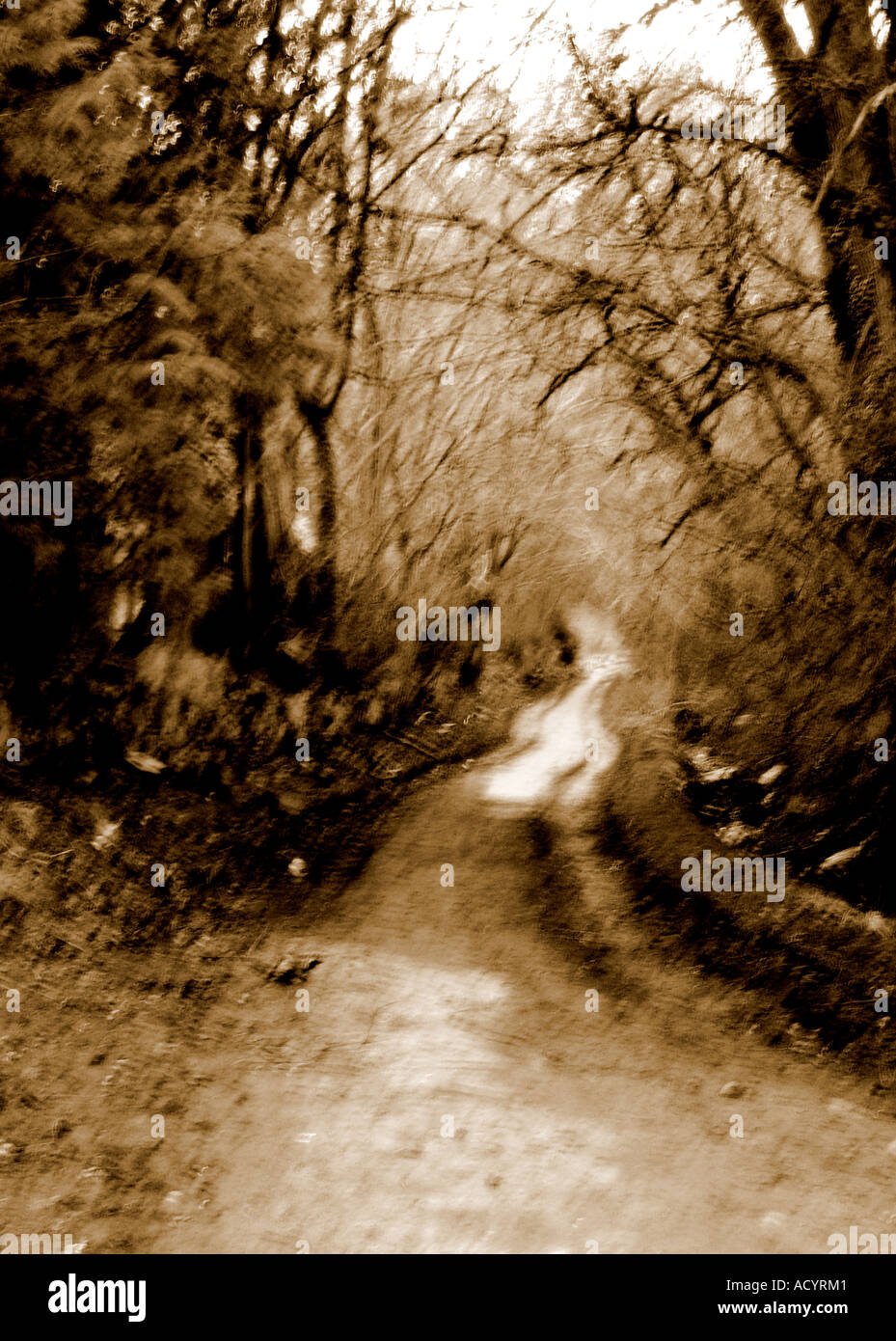 Fine trave hi-res stock photography and images - Alamy