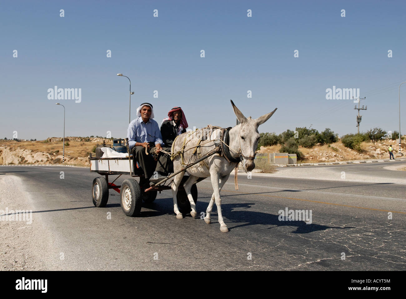 Palestinian villagers riding on a donkey drawn cart in South Hebron ...