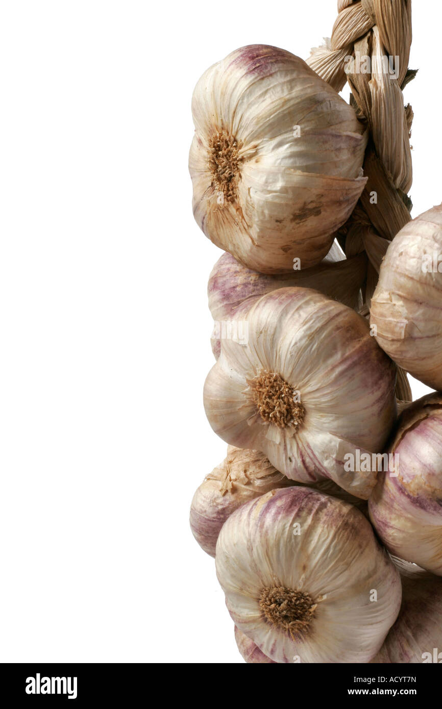 String of garlic Stock Photo - Alamy