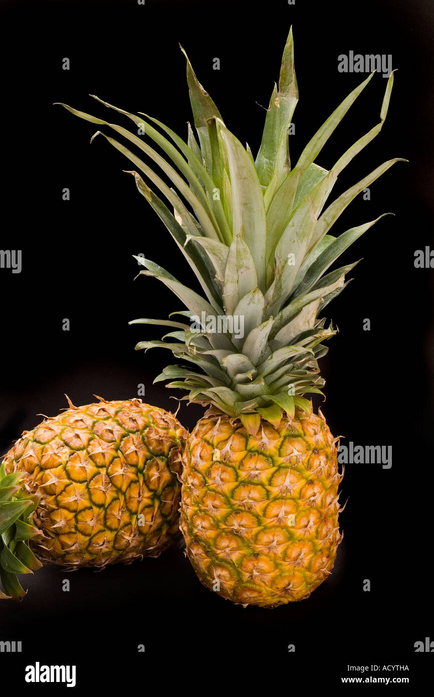 Pineapple Cross Section Labeled