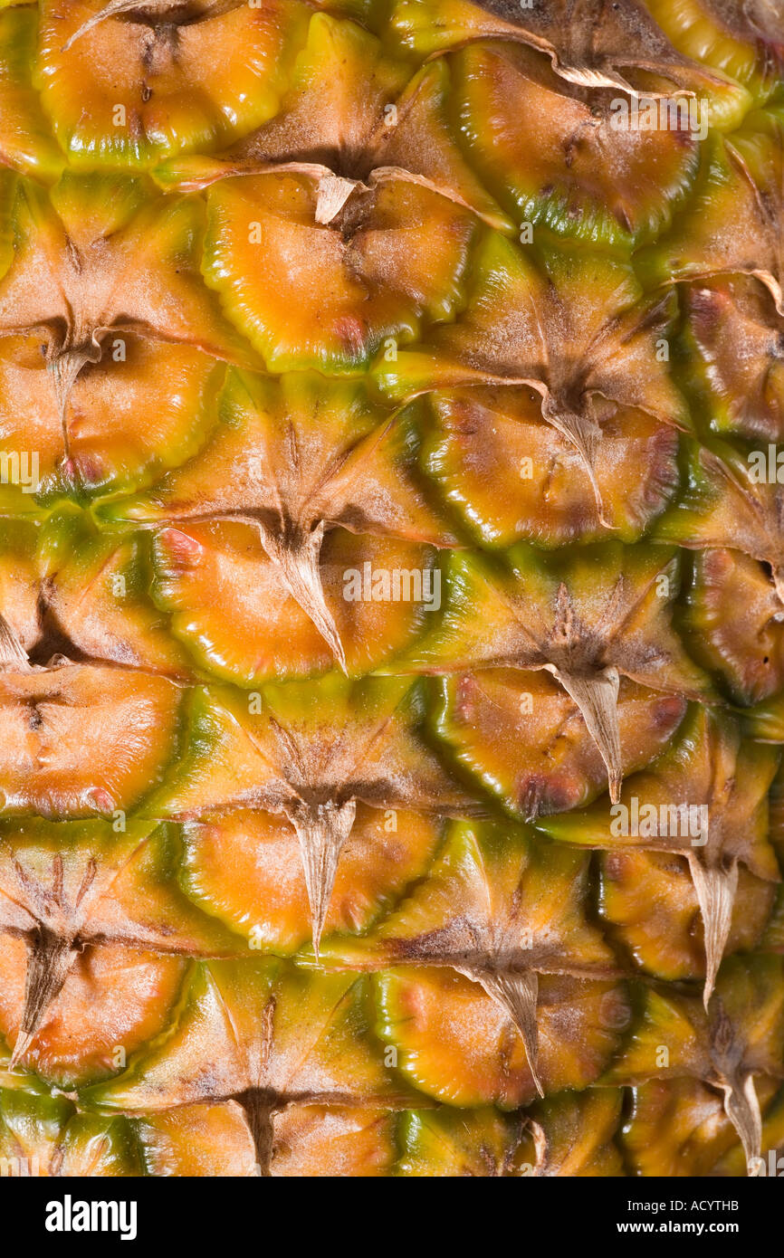 Segments hi-res stock photography and images - Alamy