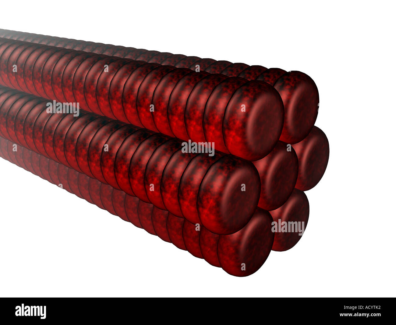 Magnified human cells hi-res stock photography and images - Alamy