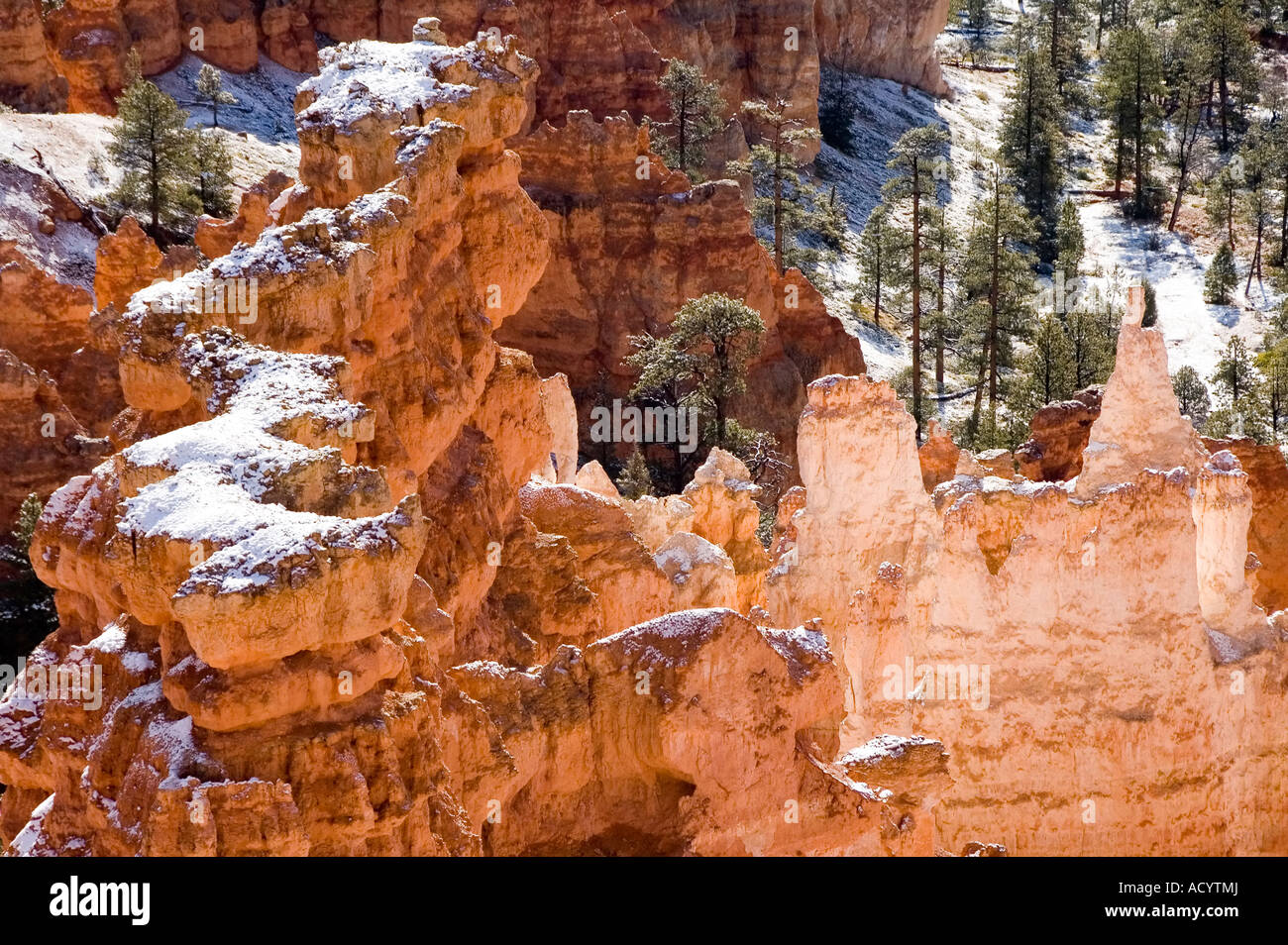 A picture illustrating some of the many of the features of Bryce Canyon ...