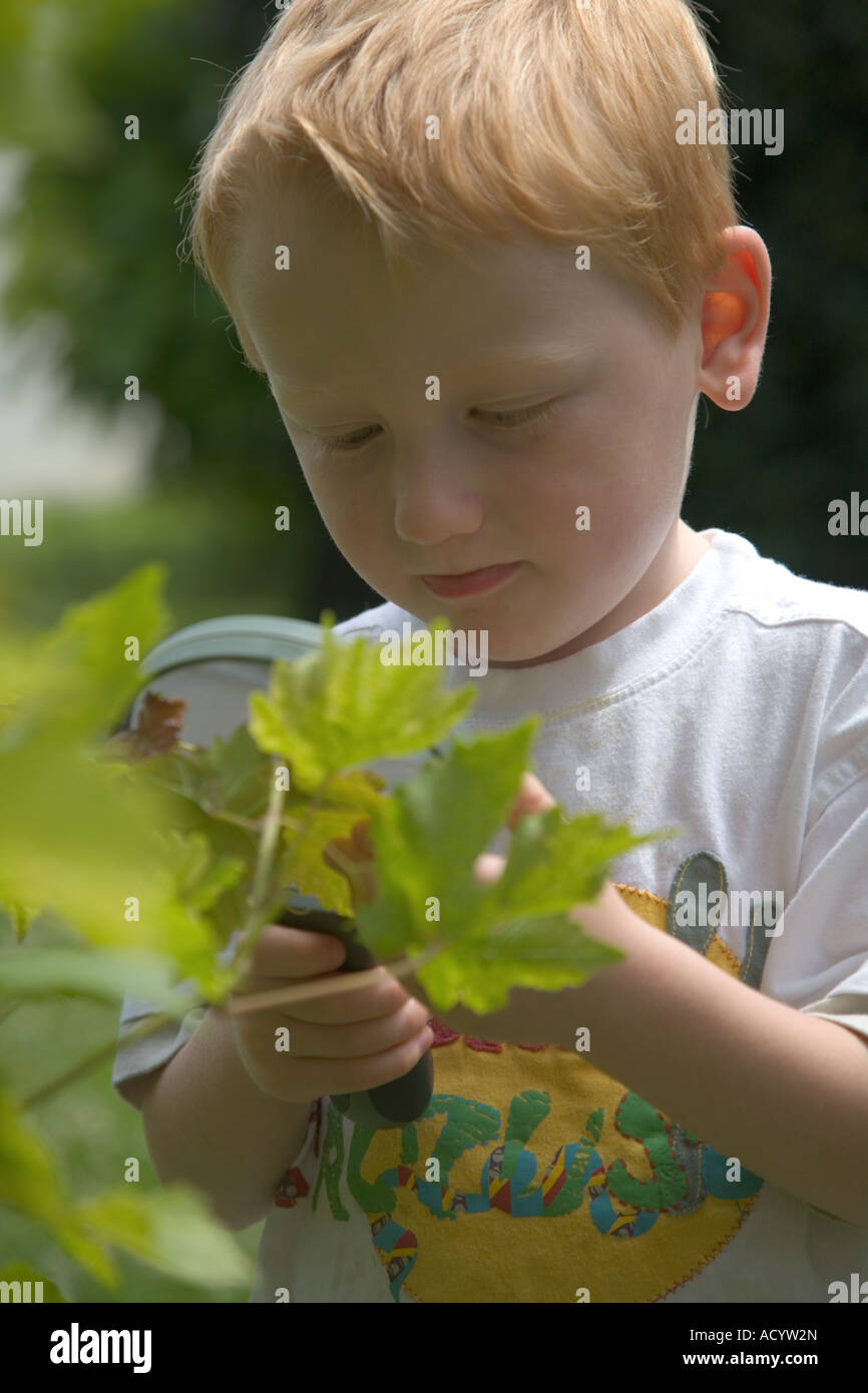 Boy using a magnifying glass in the garden Stock Photo - Alamy