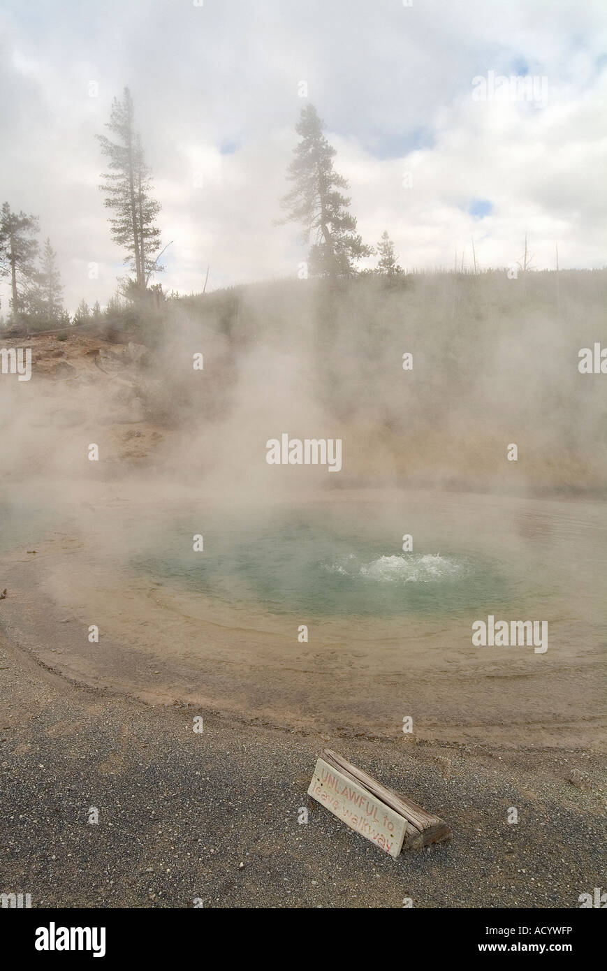 Great Dragon Spring. Norris Geyser Basin. Yellowstone National Park ...