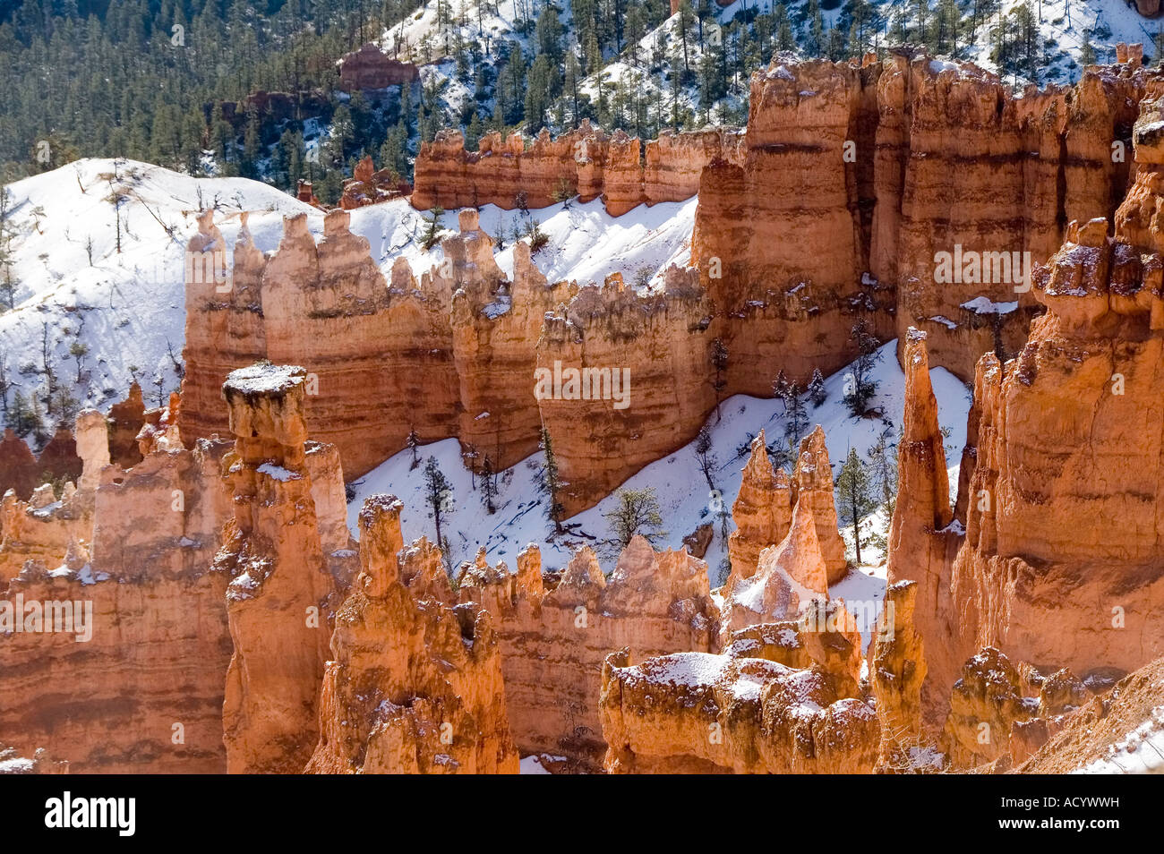A picture illustrating some of the many of the features of Bryce Canyon ...