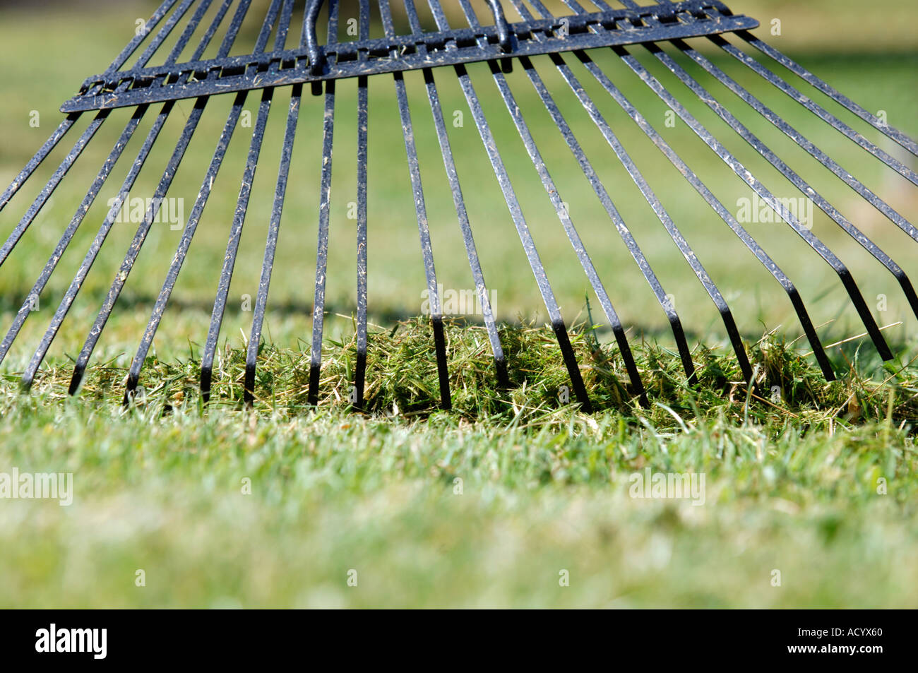 Single rake hi-res stock photography and images - Alamy