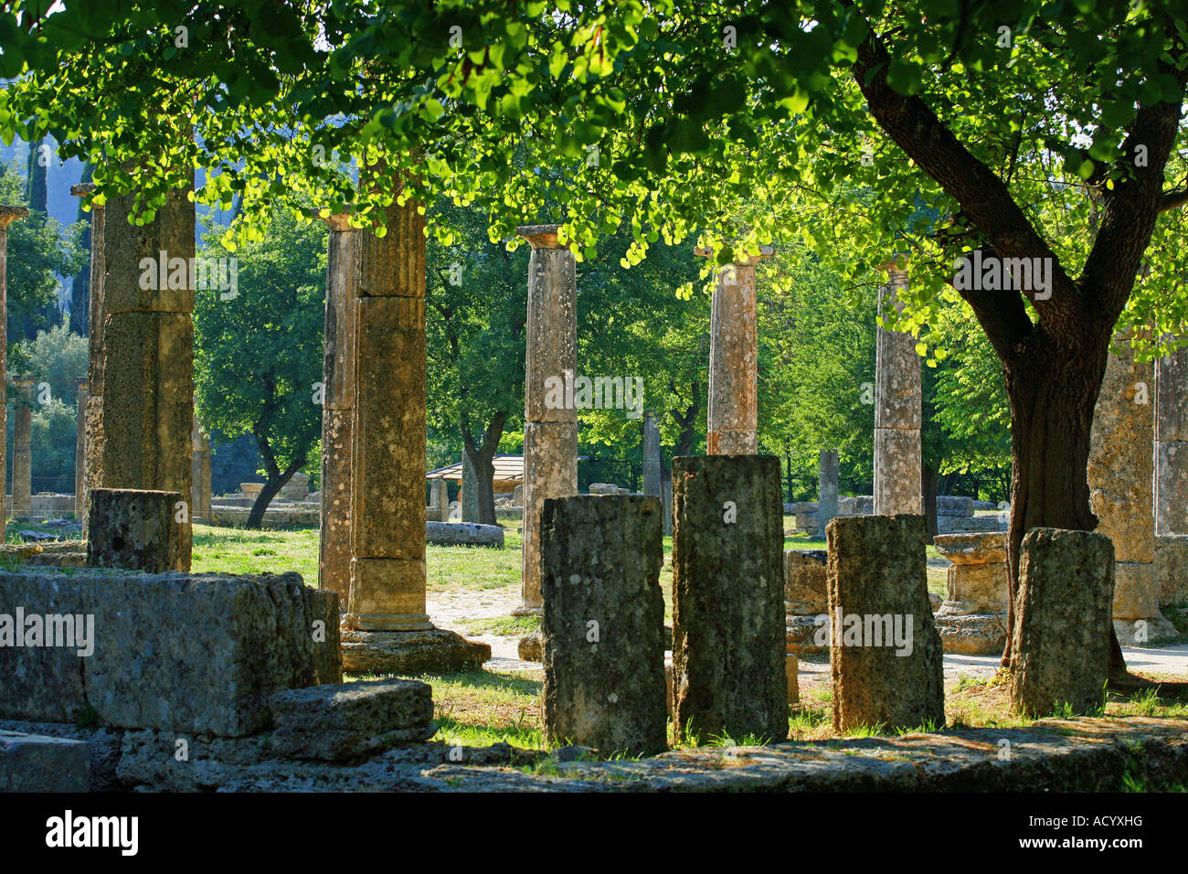 The Palestra at Olympia Greece Stock Photo - Alamy