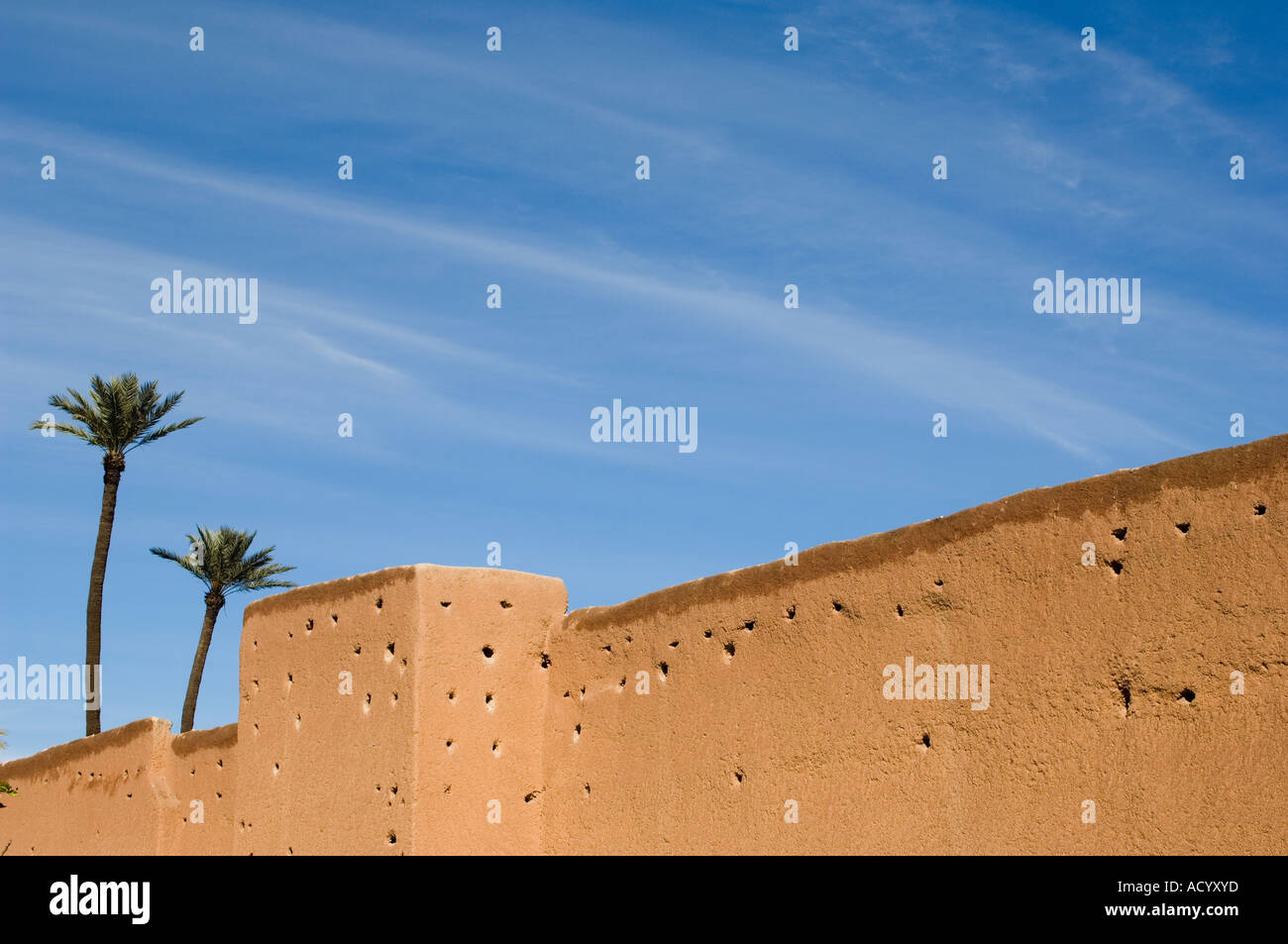palm tree mud brick wall of old city Marrakech Marrakech Province ...