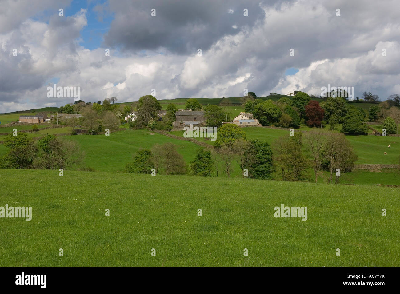 Typical Lake district farming hamlet near Ings Windermere Cumbria May ...