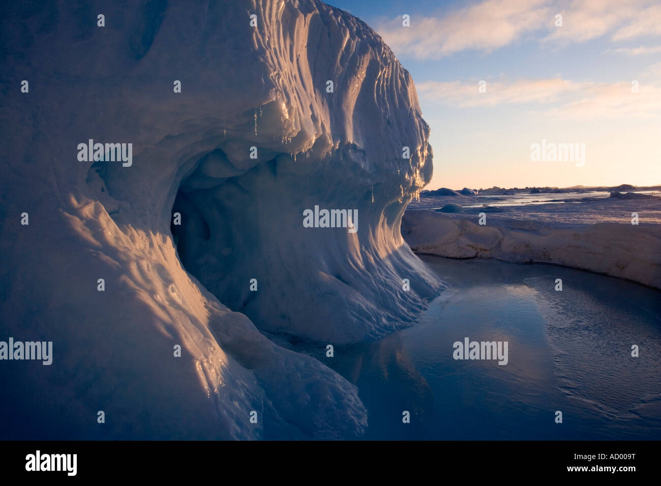 Antarctica Snow Hill Island Setting sun lights icebergs frozen into ...