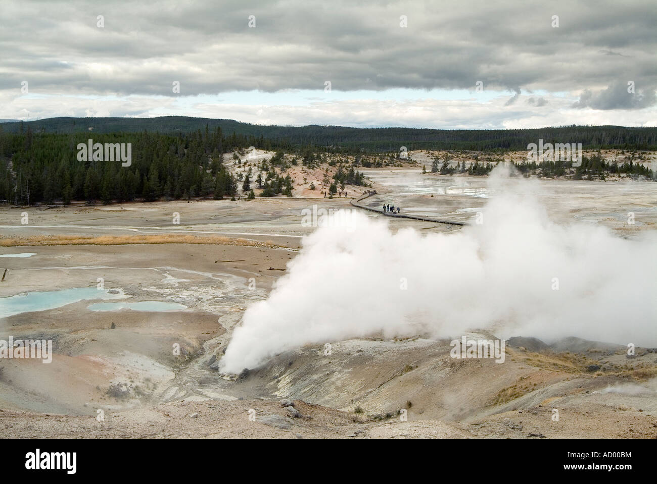 Fumaroles. Norris Geyser Basin. Yellowstone National Park. Wyoming ...