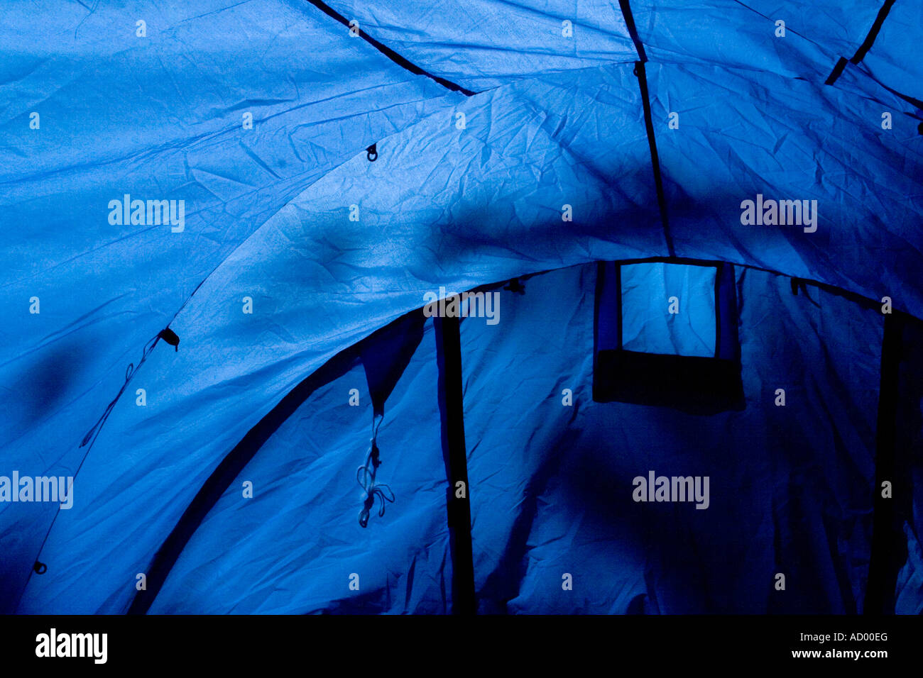 view from Inside a tent camping in the New Forest Stock Photo - Alamy