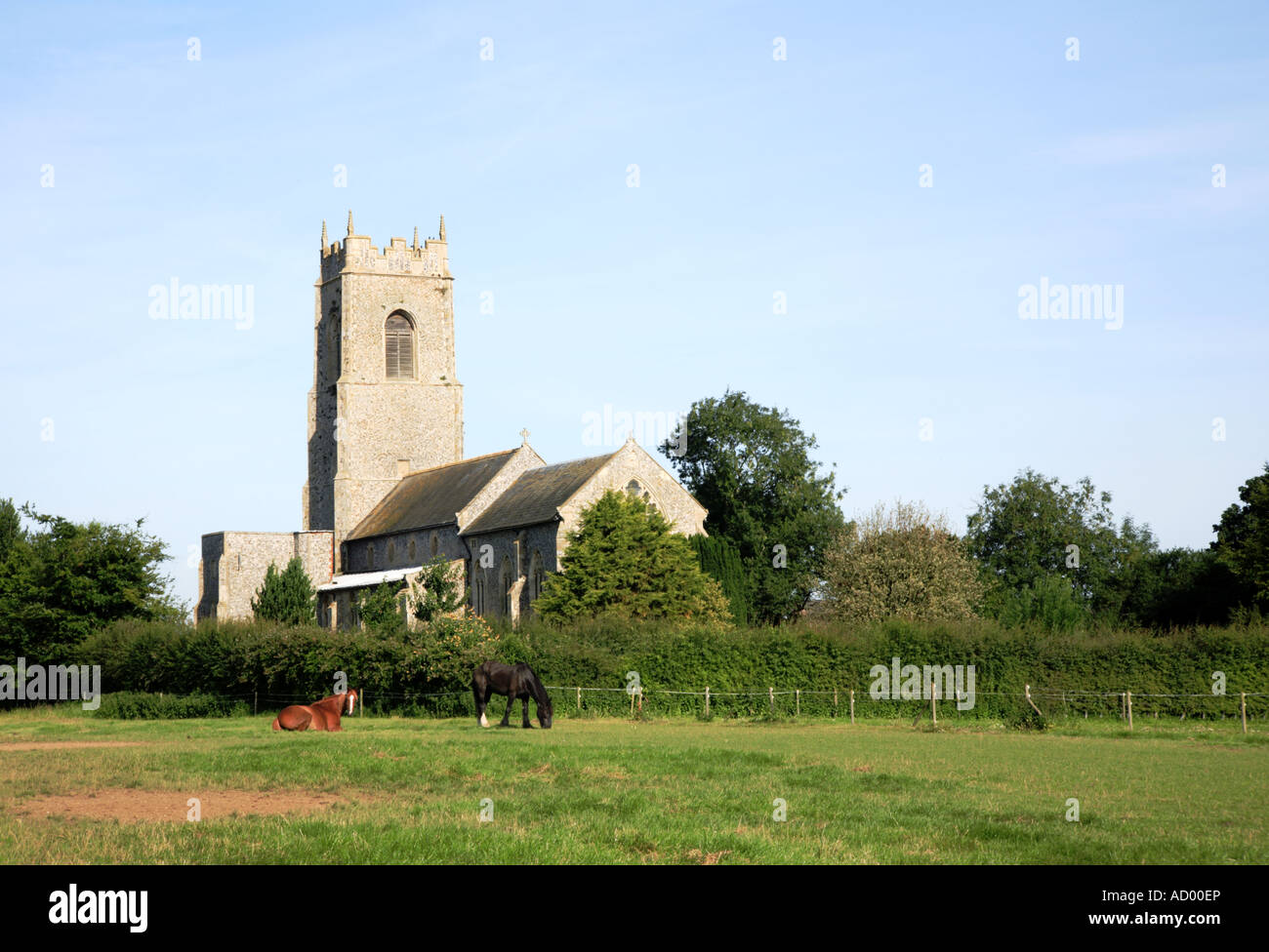 Church of the Holy Trinity at Ingham, Norfolk, UK Stock Photo - Alamy