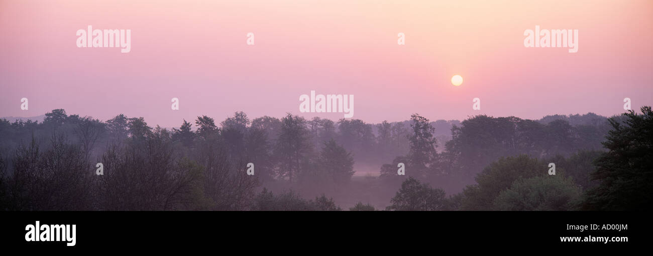 Holstein swiss hi-res stock photography and images - Alamy