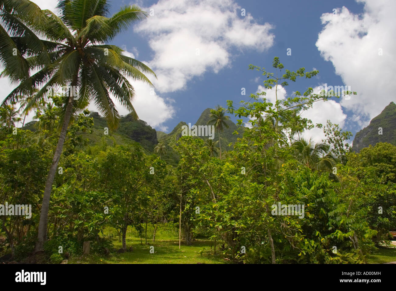 Mountains of Moorea French Polynesia Stock Photo - Alamy
