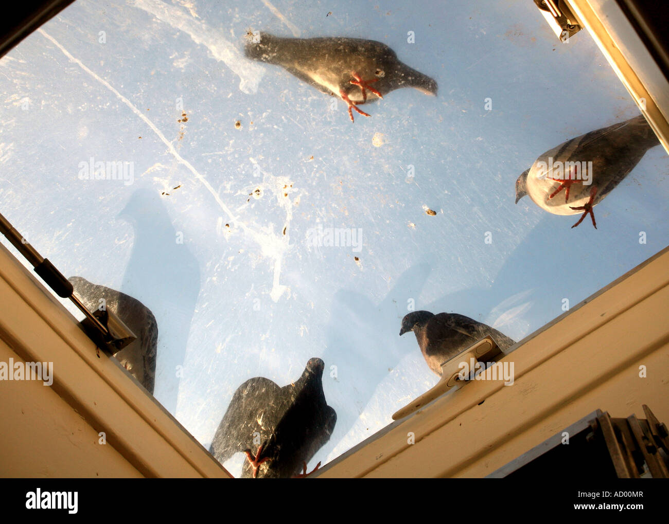 Skylight london hi-res stock photography and images - Alamy