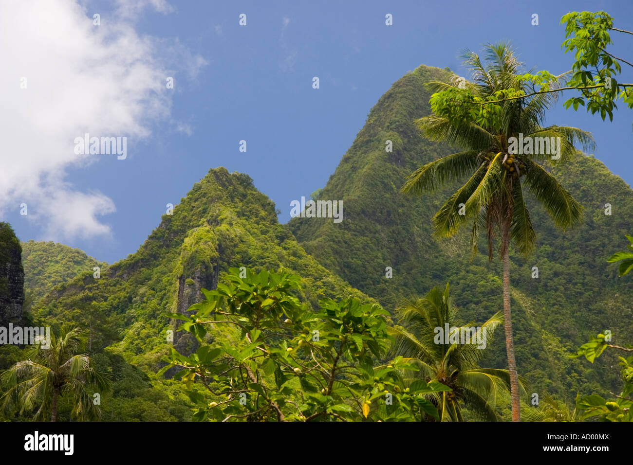 Mountains of Moorea French Polynesia Stock Photo - Alamy