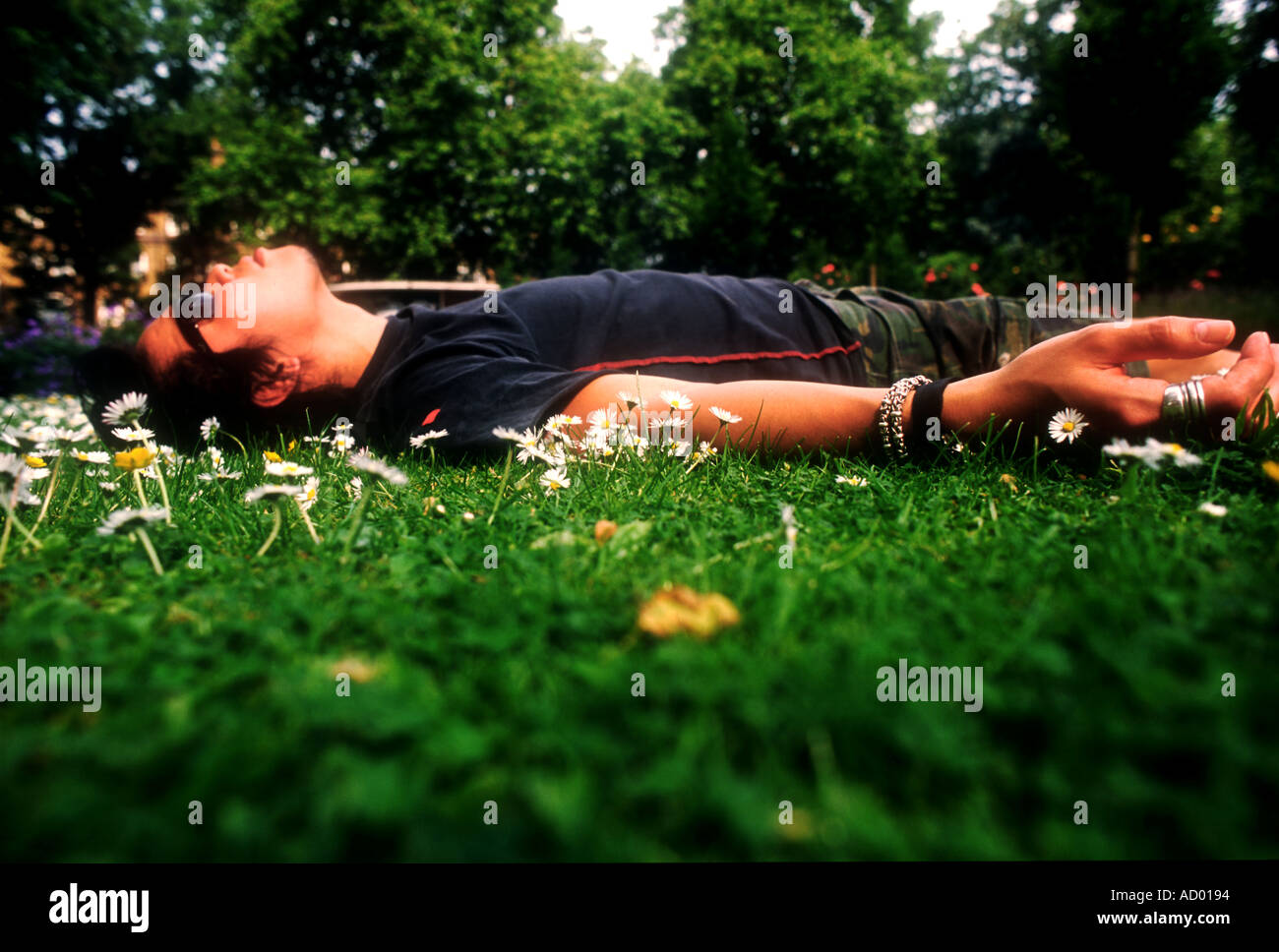 Laying Down Flowers High Resolution Stock Photography and Images - Alamy